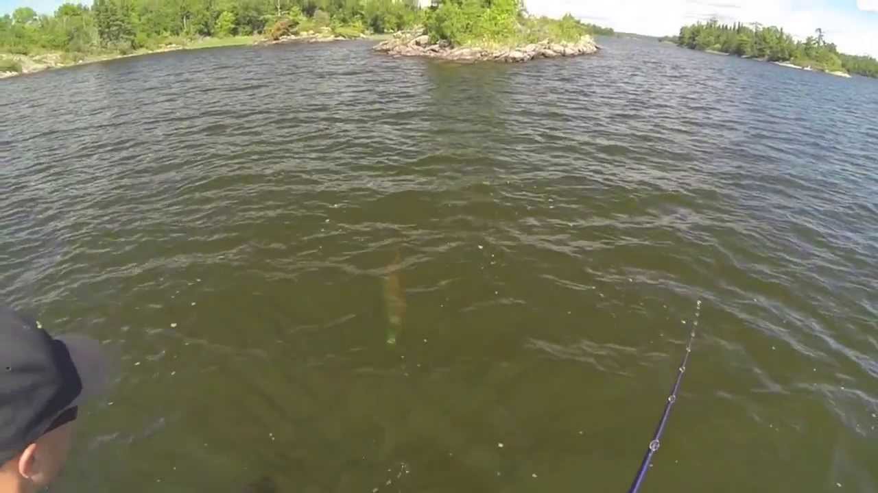 John Wahlstrom Canada Musky (Figure 8) - YouTube