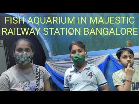 FISH AQUARIUM IN MAJESTIC RAILWAY STATION BANGALORE - YouTube