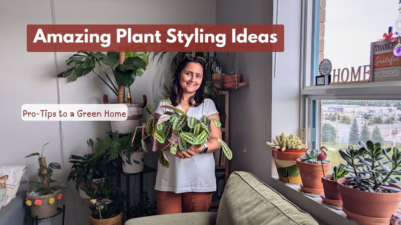 12 Amazing Plant Styling Ideas to create a BEAUTIFUL Green HOME ...