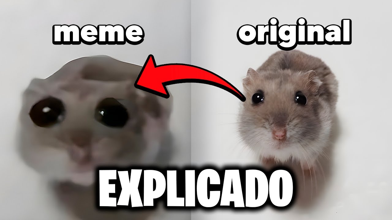 Hamster Triste Violino - DE ONDE VEIO O MEME? - YouTube