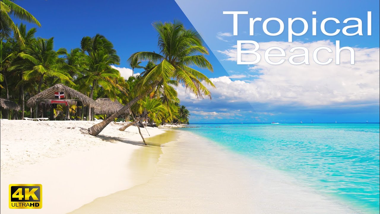 🌴 Tropical beach relaxation video - Relaxing Sounds Calm Ocean Waves ...