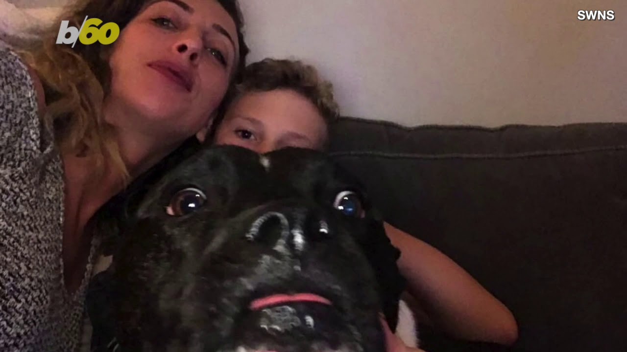 Talking Dog Can Say ‘Hello’ and Melt Your Heart - YouTube