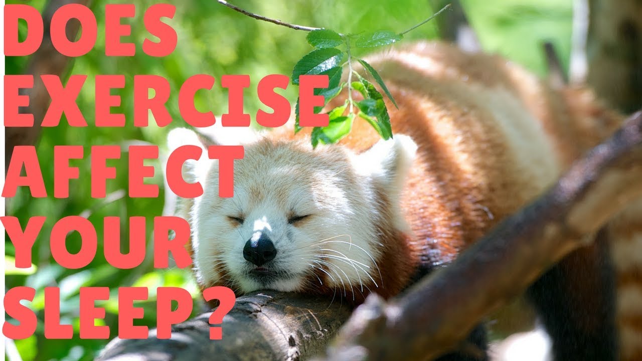 Does Exercise Affect your Sleep [2 tips to sleep better] - YouTube
