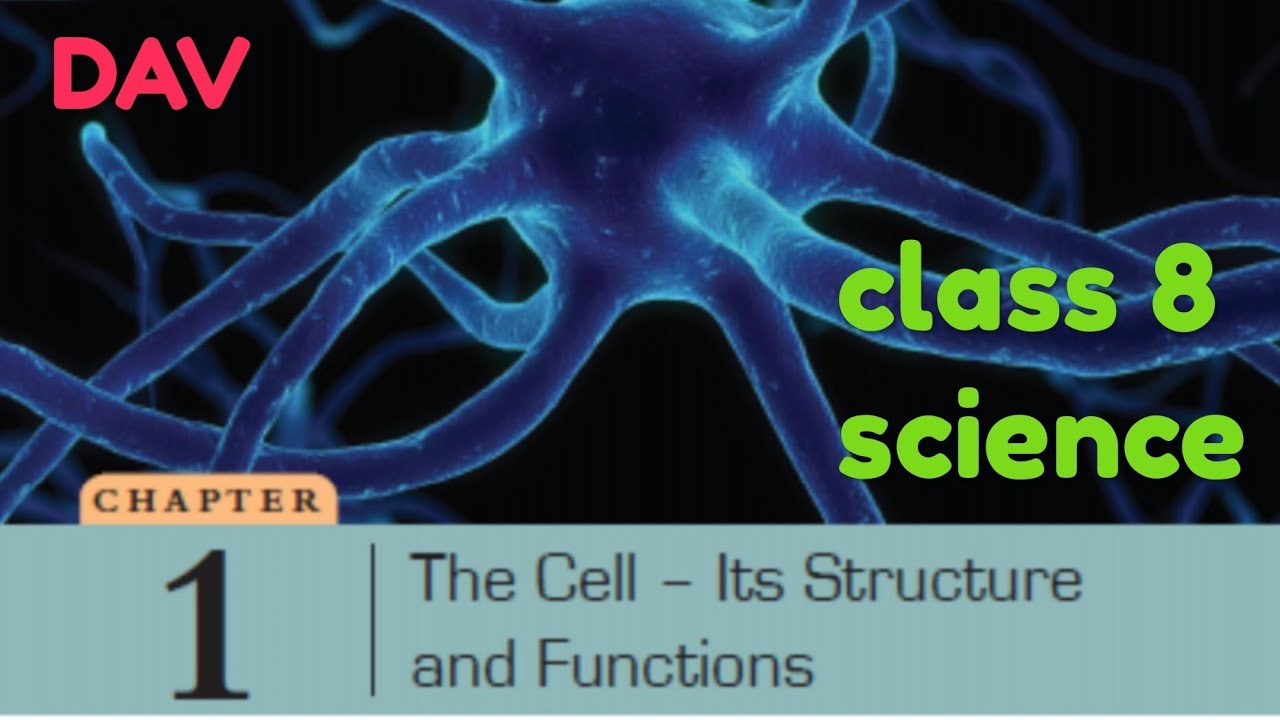 Dav School Class 8 Science Book Ch 1 YouTube dav-school-class-8-science-book-ch-1-youtube