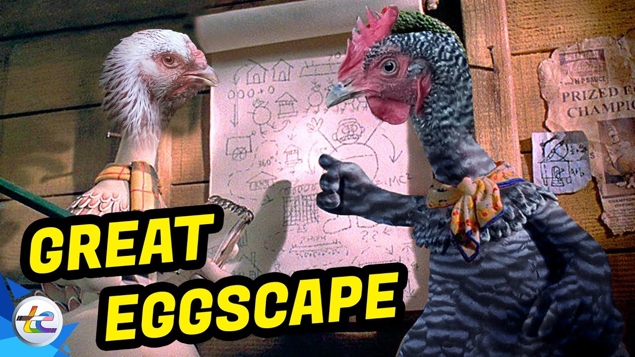 Transport Evolved Chicken and Garden Update: The Great Eggscape! - YouTube