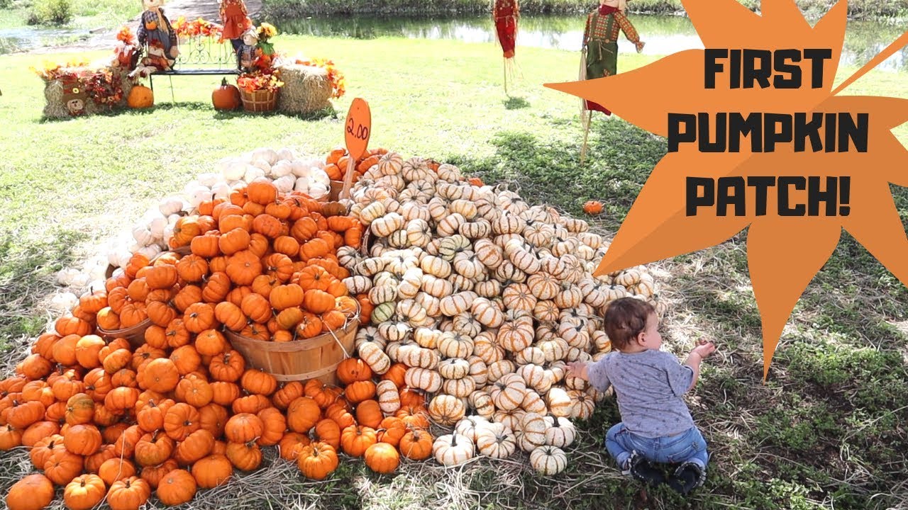 BABY'S FIRST PUMPKIN PATCH | sunday vlog - YouTube