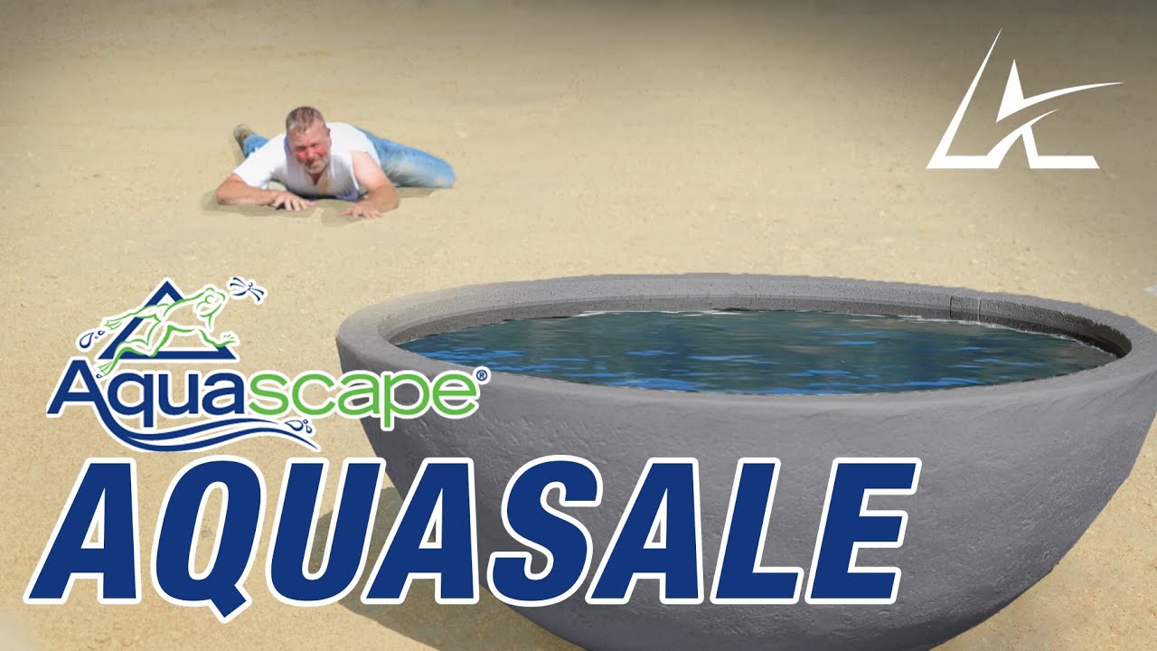 Aquascape Aquasale! - YouTube