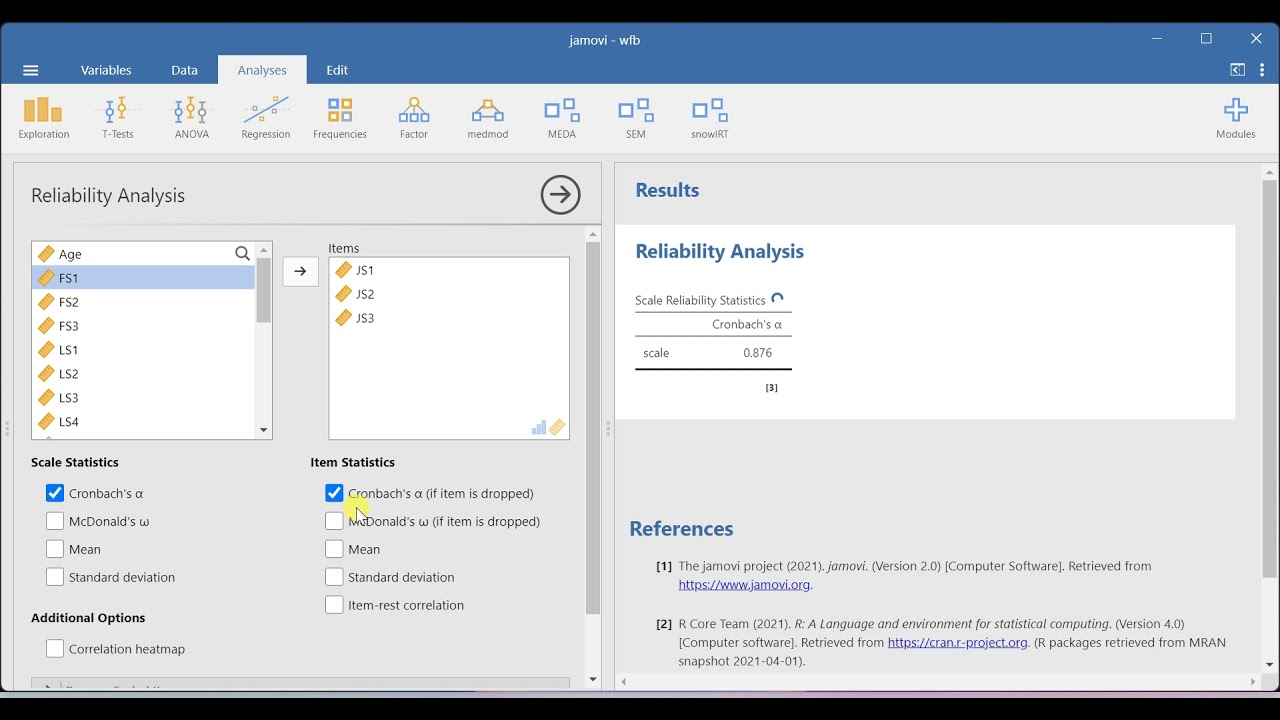 Reliability Analysis using JAMOVI - YouTube