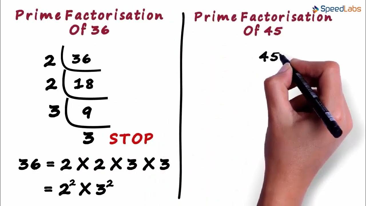 Class-6-Mathematics-Ch-3-Playing With Numbers-Topic-What is the Upside ...
