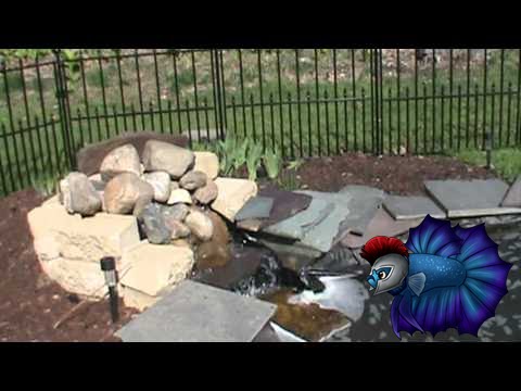 How To Stop Predators From Getting To Your Pond - YouTube