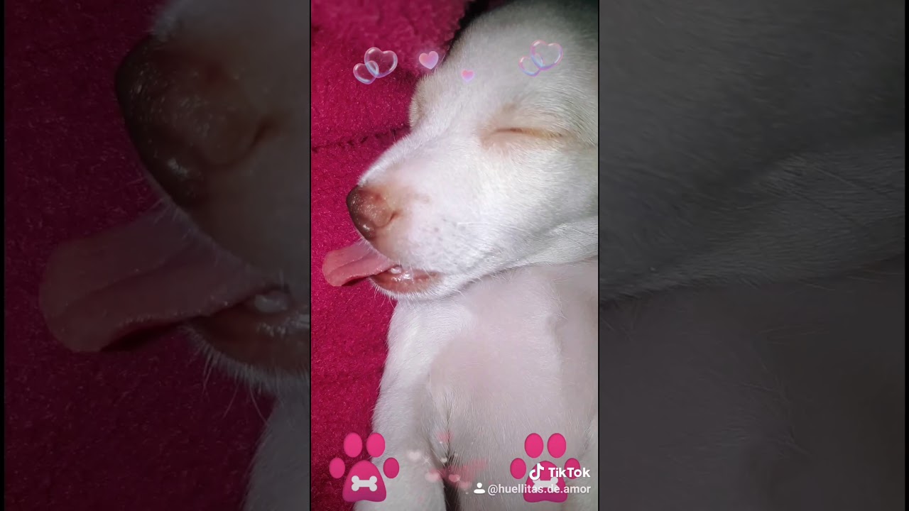 No puedo controlar mi lengua 👅 😂 - YouTube