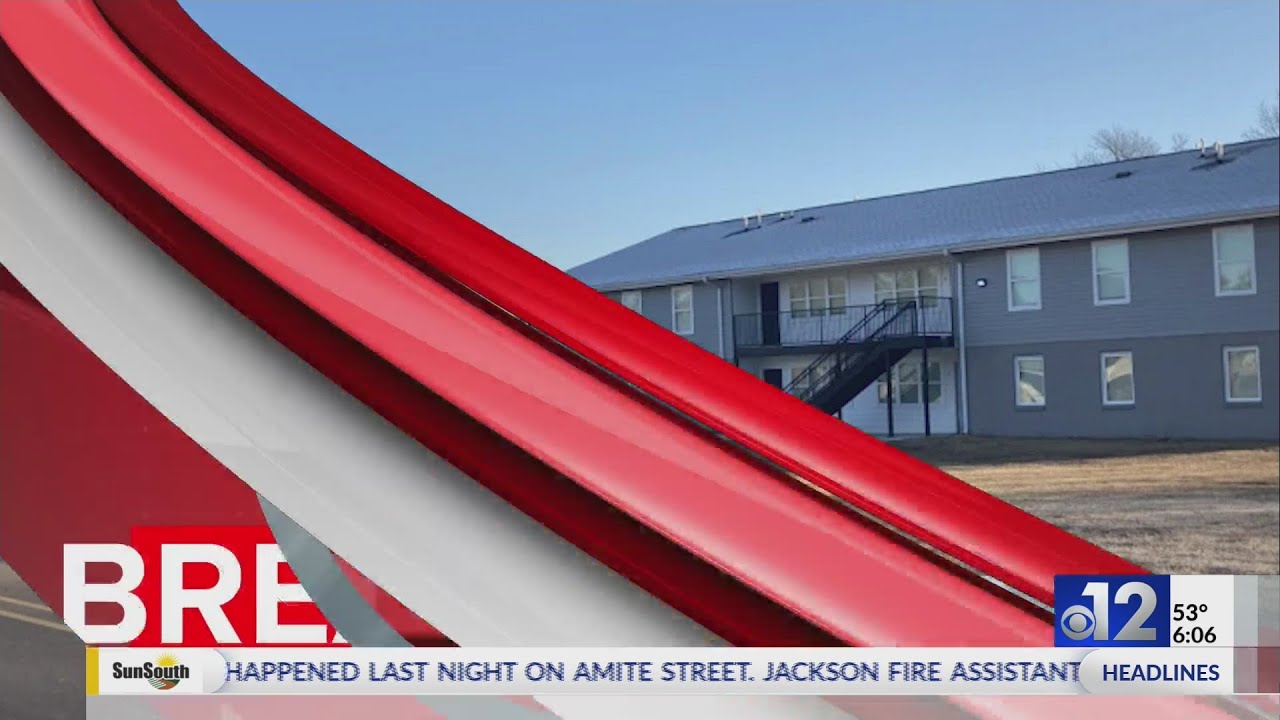 Toni Johnson pleads guilty in Hinds County Election Commission fraud ...