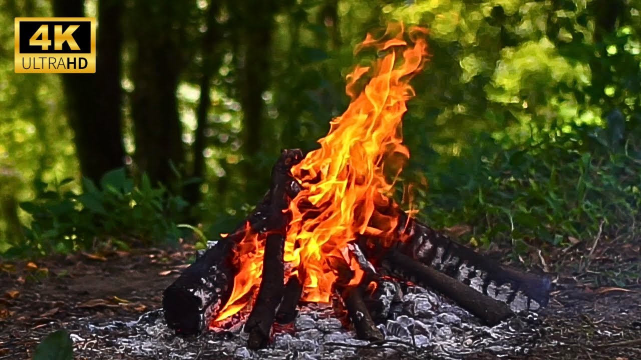 Campfire in the Evening in 4K UltraHD | Live 24x7 of Cozy Logs Burning ...
