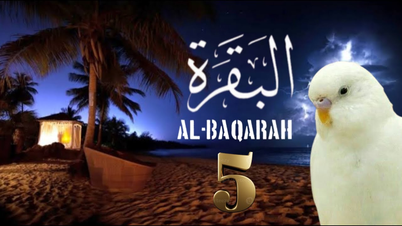 تلاوت سنو اور دل خوش کرو | Surah Al-Baqarah Ruku Number Five | Surah Al ...