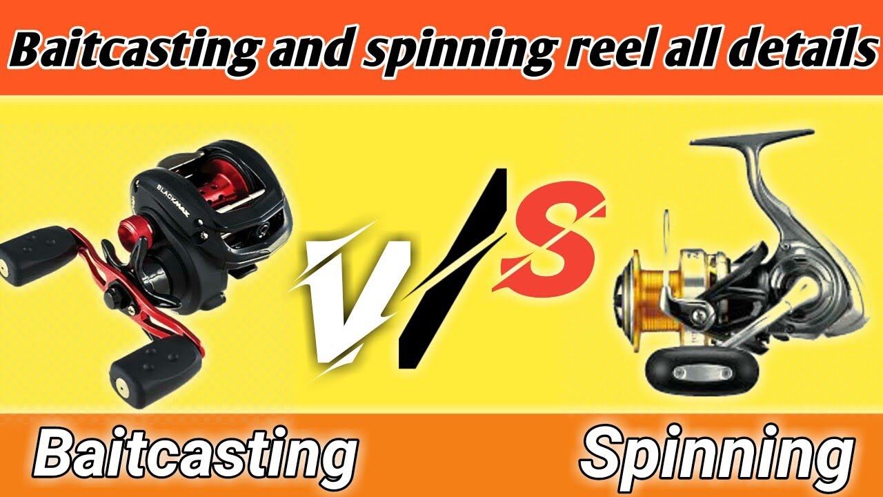 Bite casting reel VS Spinning reel all details|fishing reel all details ...