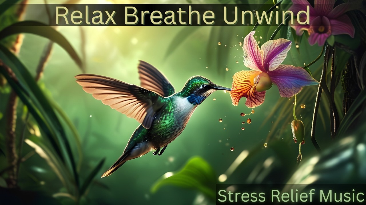 Dreams of the Earth: A Journey through the Rainforest | Relaxing Nature ...