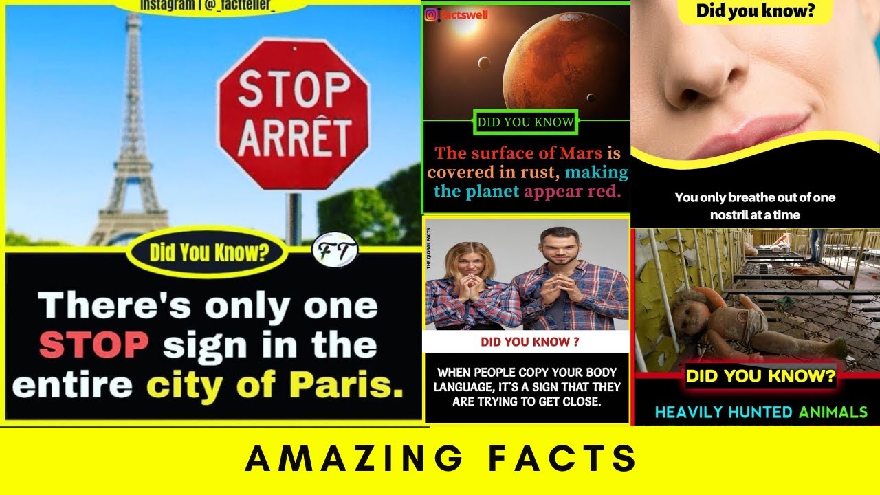 Did You Know These Interestinga Facts ? Everyone Shoud Know This 🤫 #30 ...
