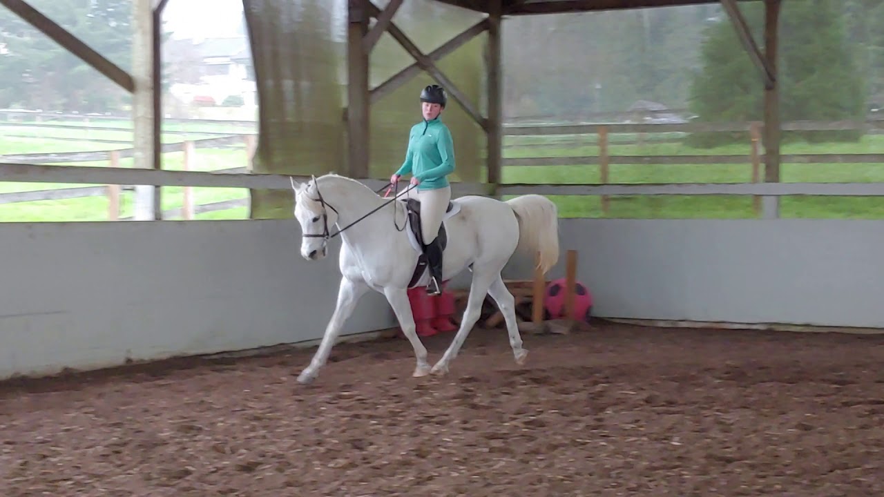 Ava Manning - W/T/C English Pleasure & Equitation - YouTube