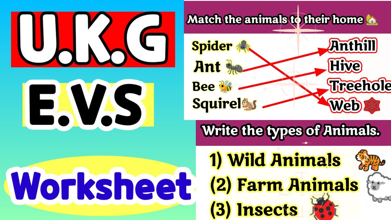 UKG EVS/UKG Class EVS Worksheet Questions With Answers/Senior Kg ...