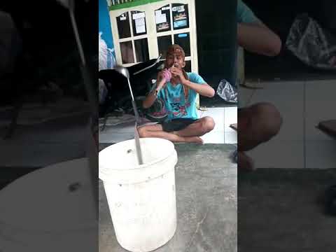 Seruling ular - YouTube