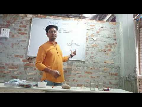 To study osmosis using Potato Osmometer | Class 11 BIO Practical - YouTube