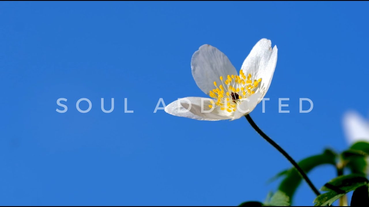 Soul Addicted Mix Episode 05 |Happy Soul Melodic House Mix| RÜFÜS DU ...