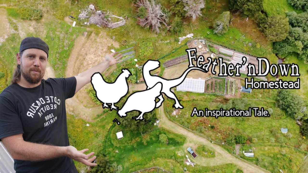 Welcome to Feather'nDown Homestead ! | A Sneak Peek - YouTube