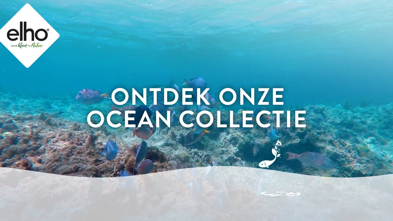 elho - The Ocean Collection (NL) - YouTube