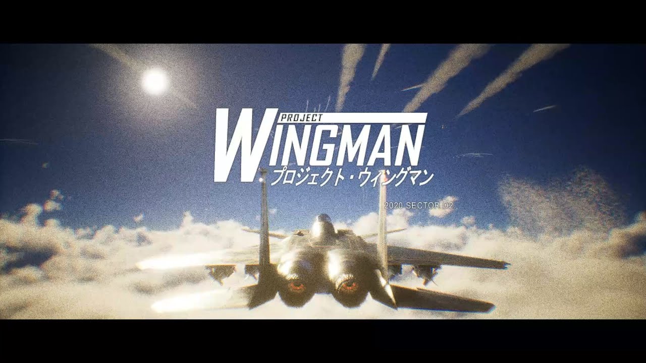 Project Wingman Mission 11 - Cold War (Mercenary Revisited) - YouTube