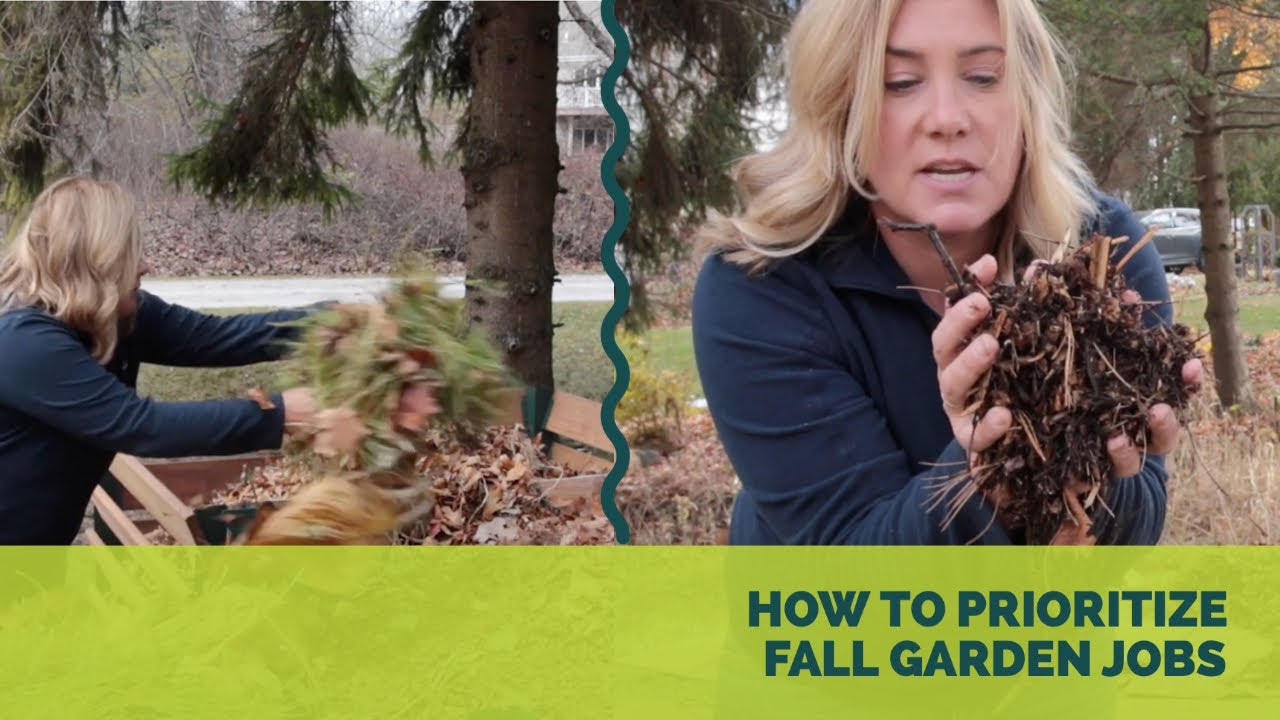 How to prioritize fall garden cleanup ≈|≈ Reclaim a weedy area - YouTube