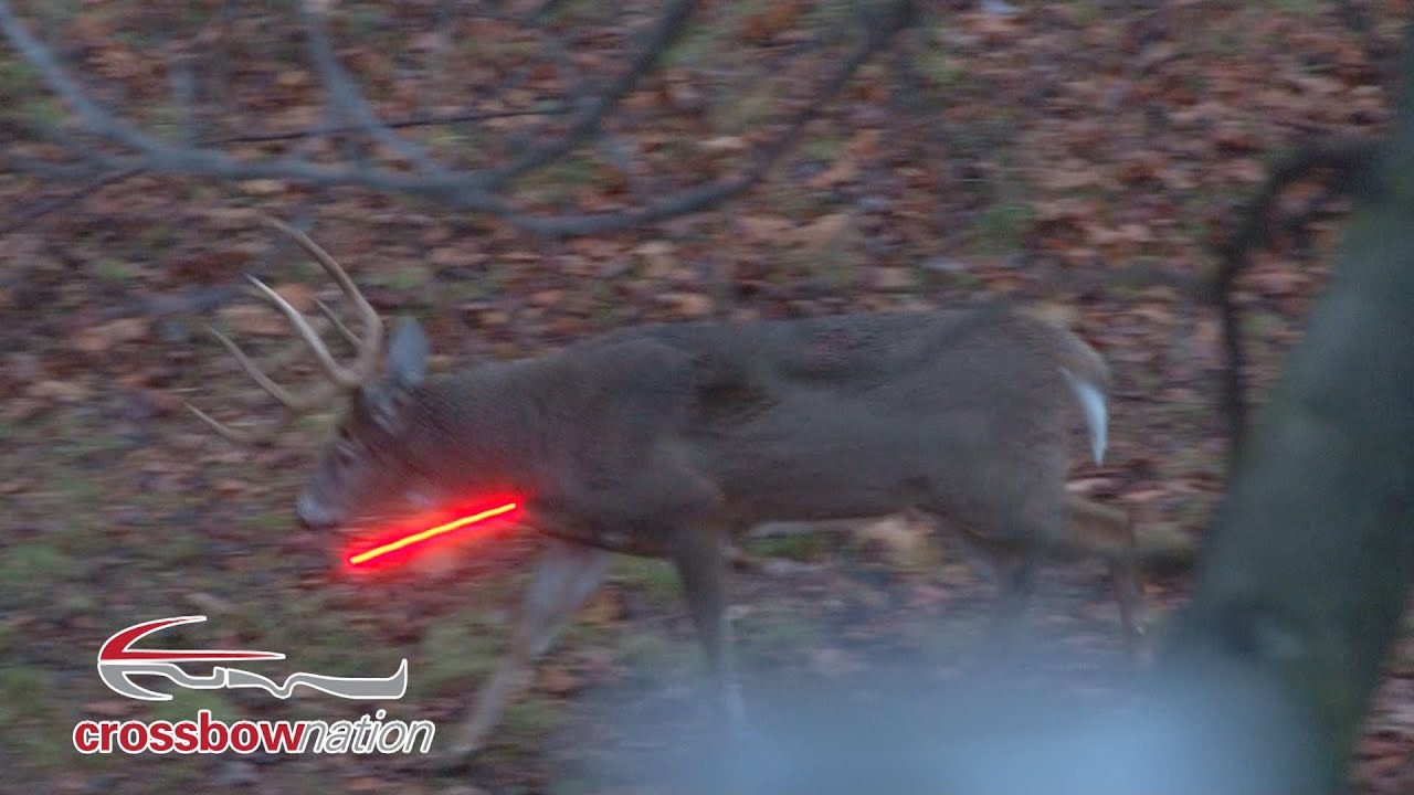 Crossbow Nation TV Opener - YouTube