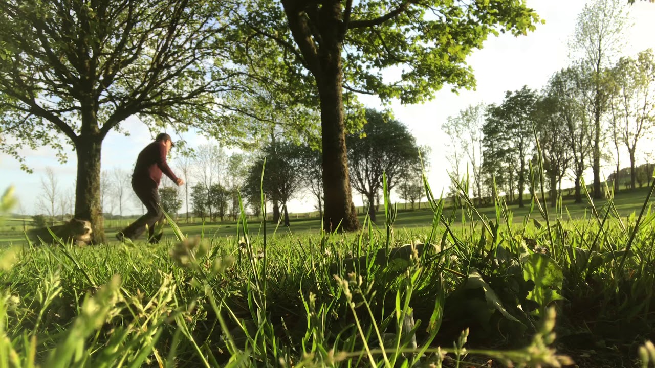 Tree exercise - YouTube