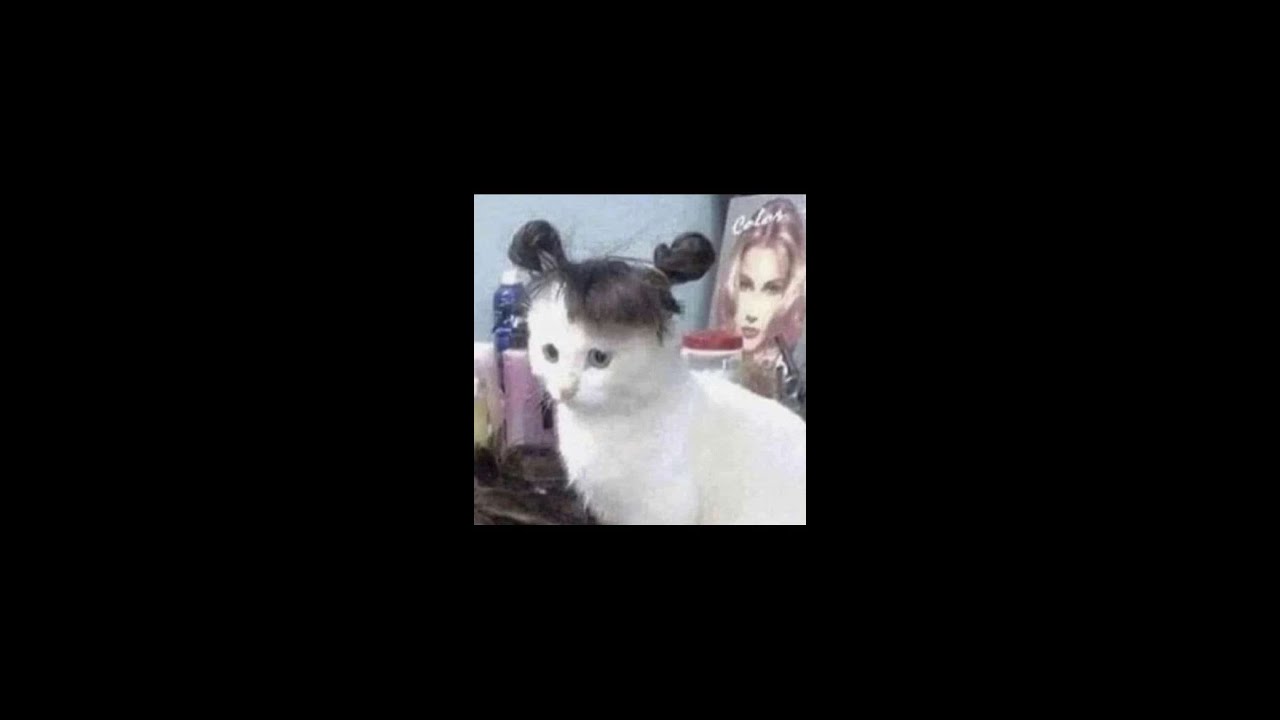 free givway 2023 100% cool gaming enter - YouTube