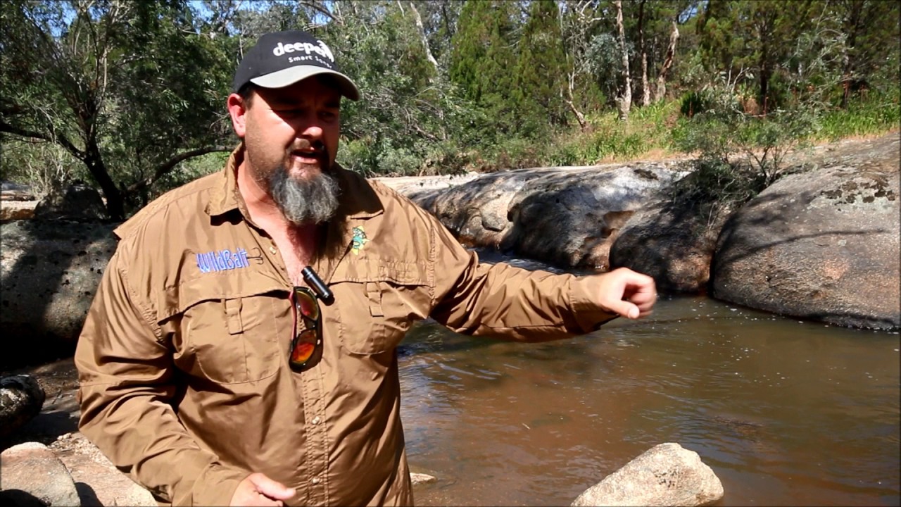 Robbie's river round up Murray cod fishing special - YouTube