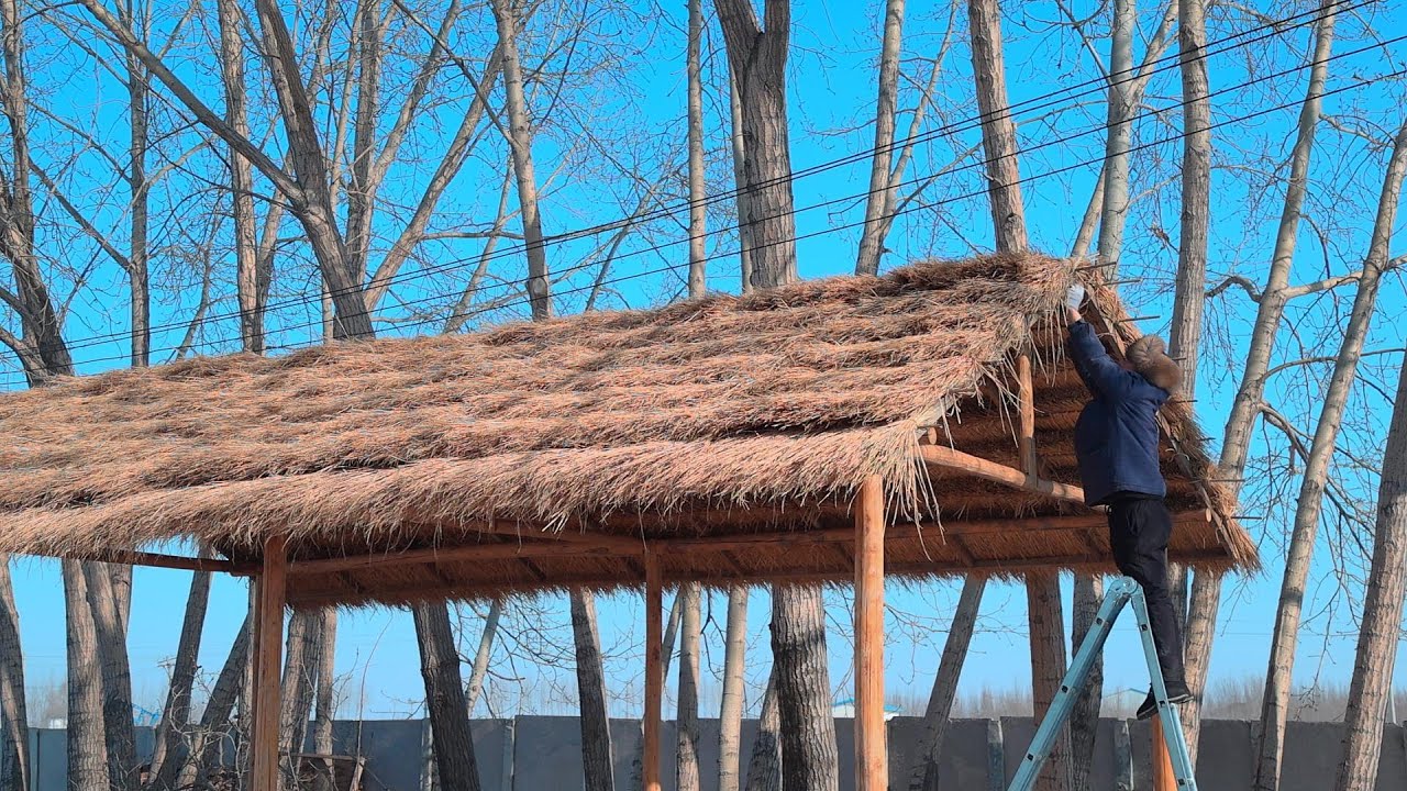 The thatched pavilion has just been completed, marking a perfect ...