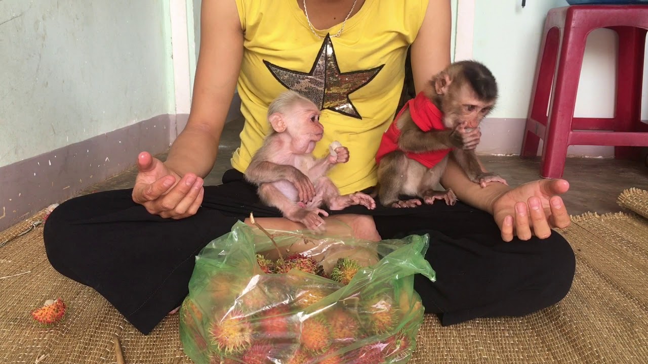 My Husband And His Wife Eat Together Youtube 1172