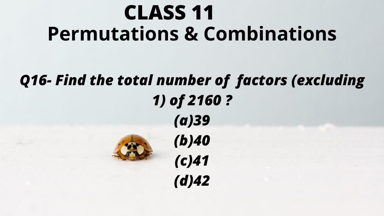Q16 Find The Total Number Of Factors excluding 1 Of 2160 YouTube q16-find-the-total-number-of-factors-excluding-1-of-2160-youtube