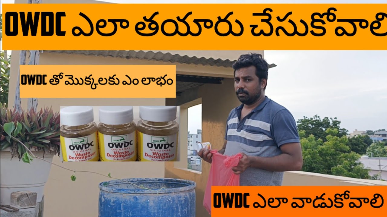 how to use owdc in terrace garden, uses of owdc #gardening # ...