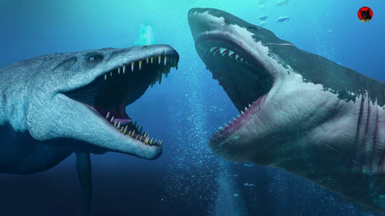 এইসব প্রানীগুলি ক্ষমতা সম্পর্কে জানলে আপনার মাথা ঘুরে যাবে/10 Biggest ...