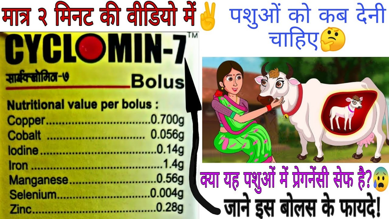 Cyclomin-7 Bolus ka upyog pashuon mein kab kre | Vet-medicine | - YouTube