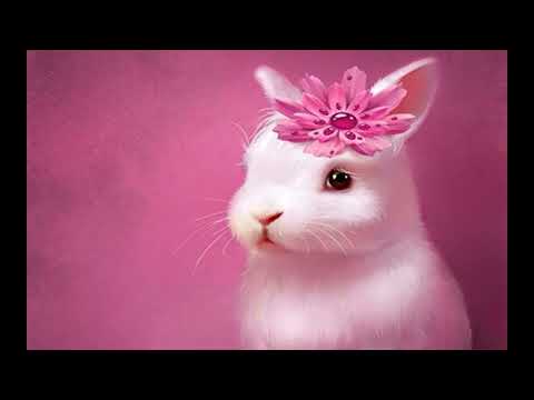 Tatlı ve Birbirinden Şirin Tavşanlar