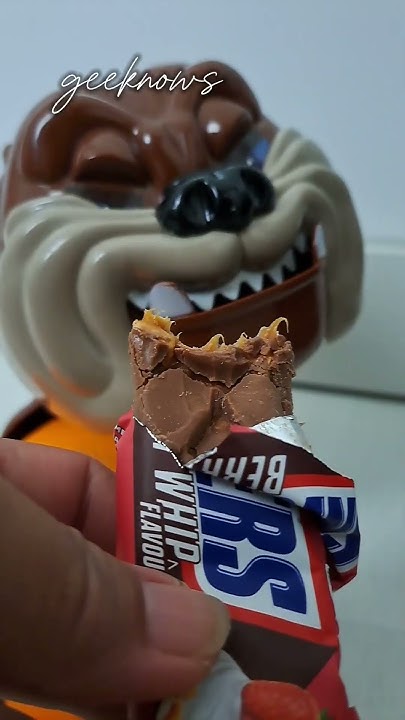 ASMR SATISFYING MADDOG WANT CHOCOLATE #asmr #satisfying #reaction #shorts #trending #interesting ...