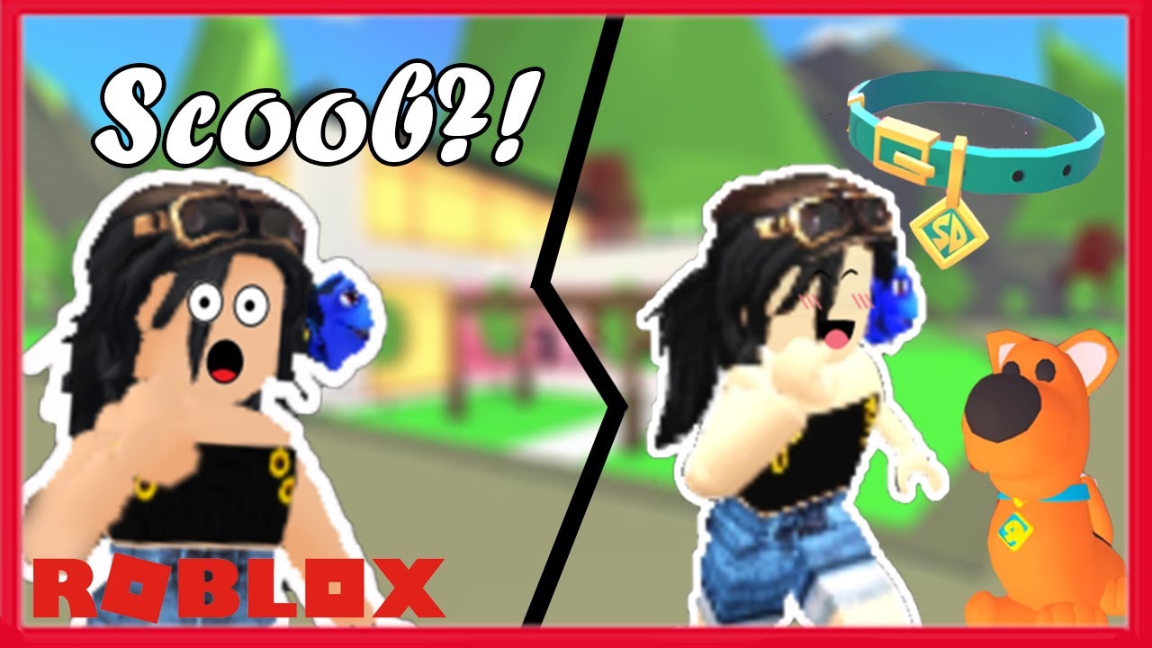 New Scoob Update! - Roblox Memories - Adopt me - YouTube