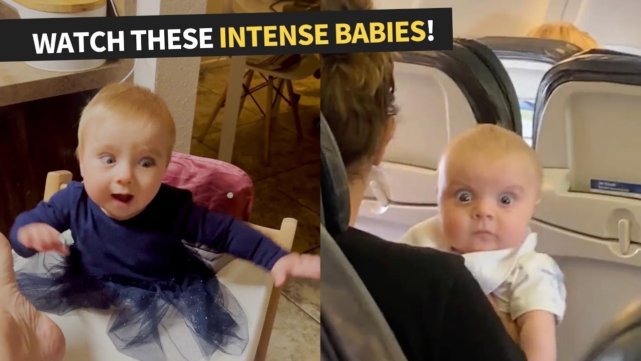 Top 13 Funniest Baby Moments Compilation - YouTube
