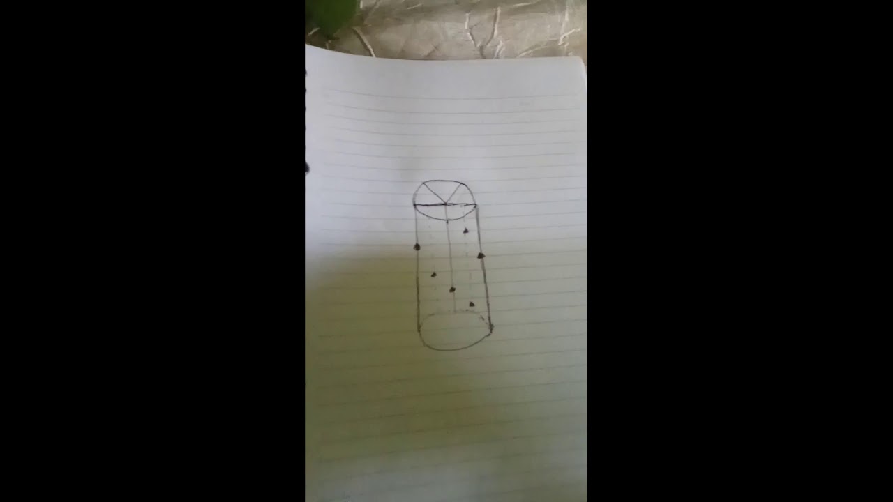 STRUKTUR MORFOLOGI DAUN, RUMUS DAUN DAN DIAGRAM DAUN - YouTube