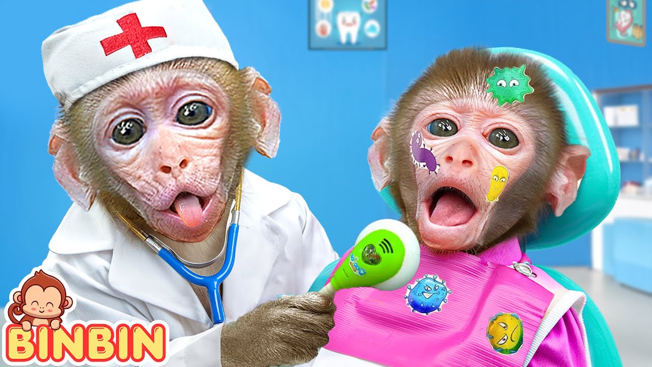 Mono Binbin Desafío Para ser Médico Ayuda a un Pequeño Mono con Dolor ...
