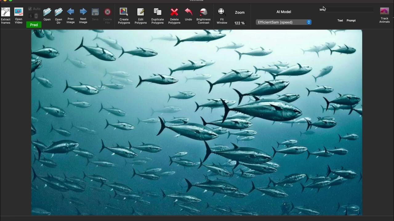 Count Anything! Object Counting & Segmentation with Annolid & CountGD! - YouTube
