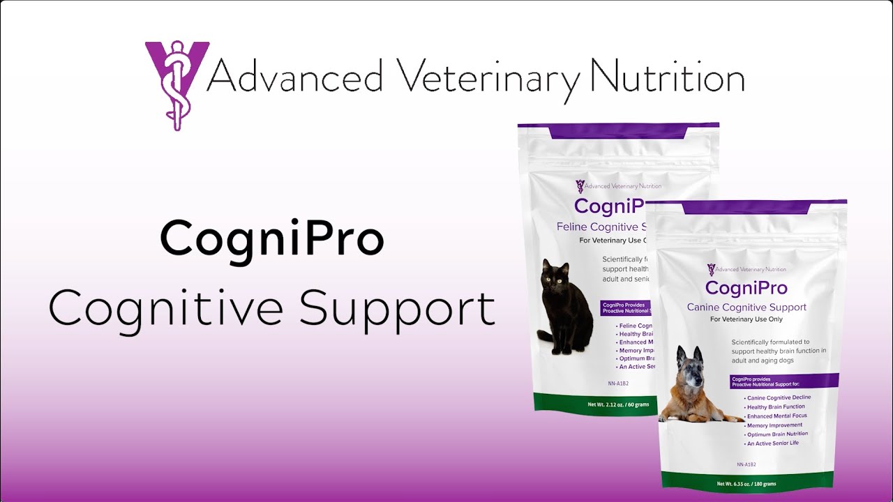 CogniPro | Canine & Feline Cognitive Support - YouTube