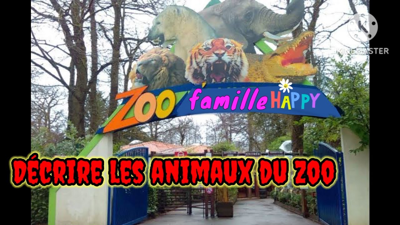 Décrire les animaux du zoo.Production écrite. - YouTube