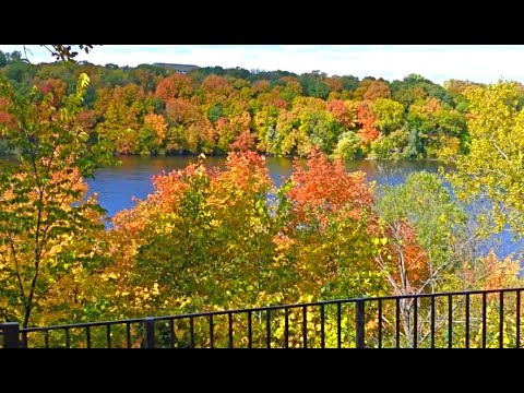 Fall Colors 2019 in Ultra 4K - YouTube